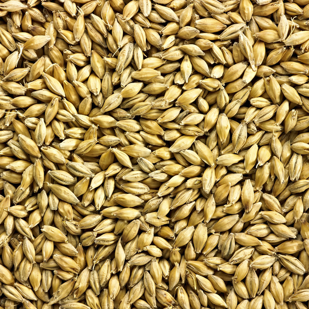 Simpsons Golden Promise 25kg – Belco Brew Supplies